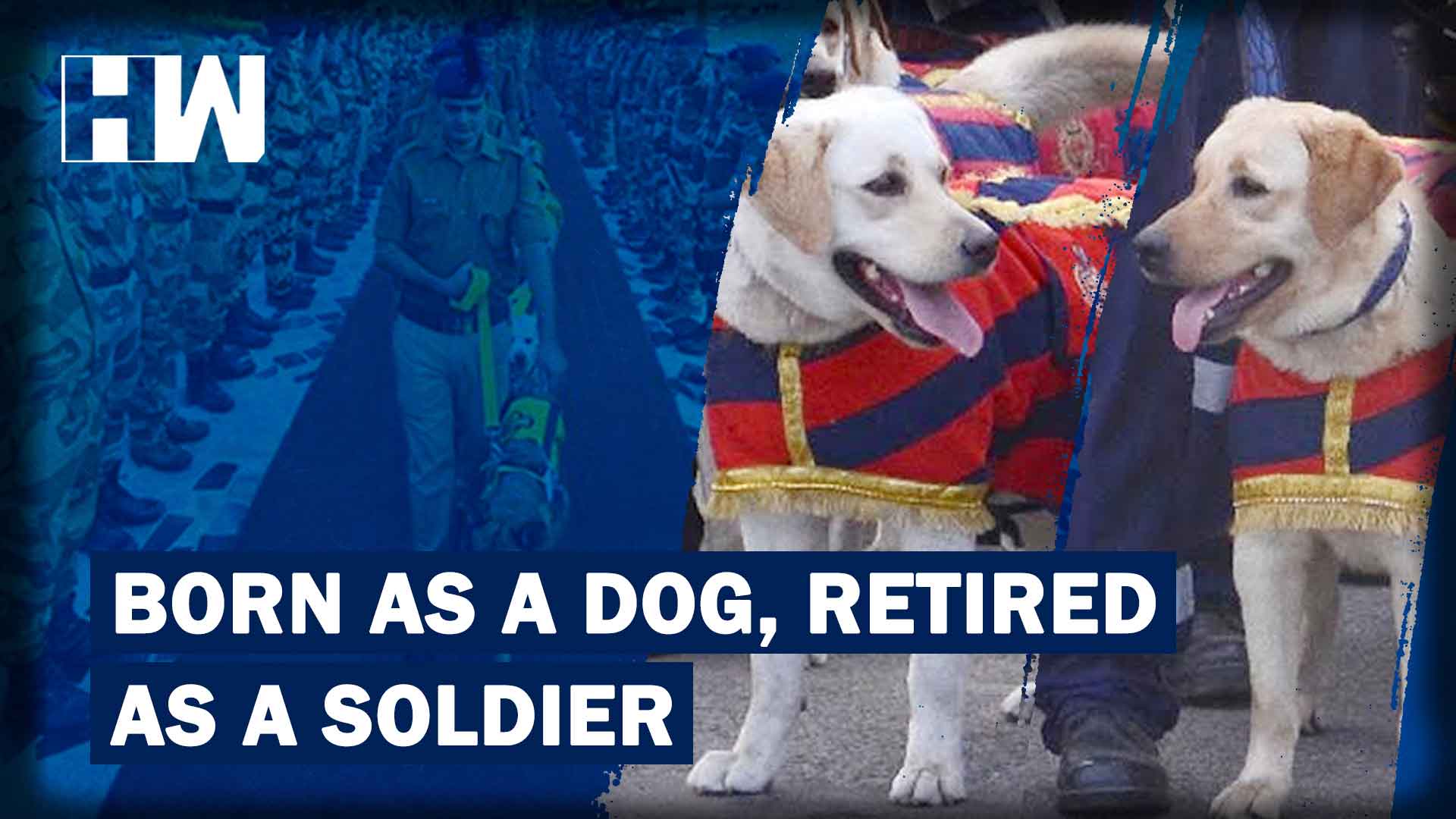 CISF honours canines on their retirement - HW News English