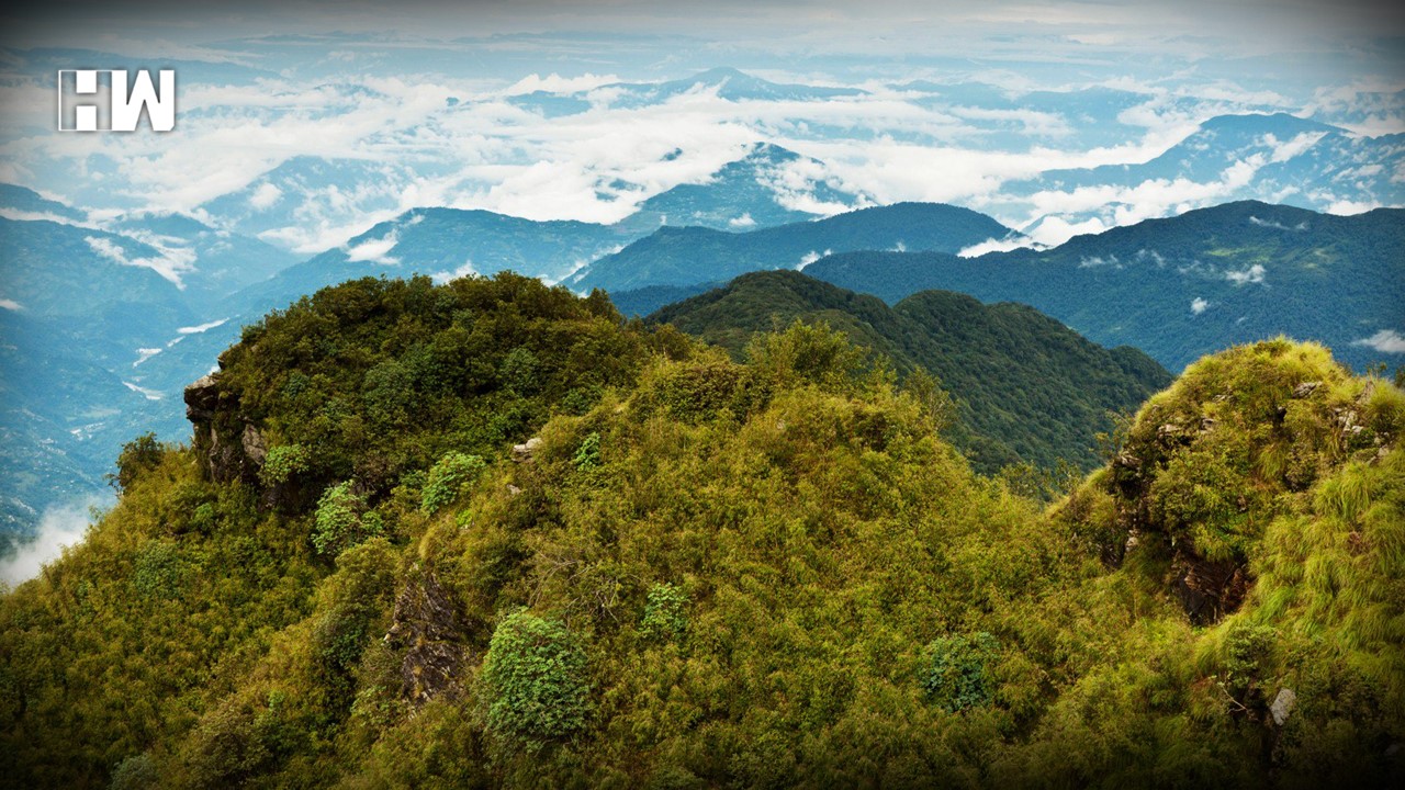 Sikkim increases forest cover by over 4 percent since 1993: CM Chamling ...