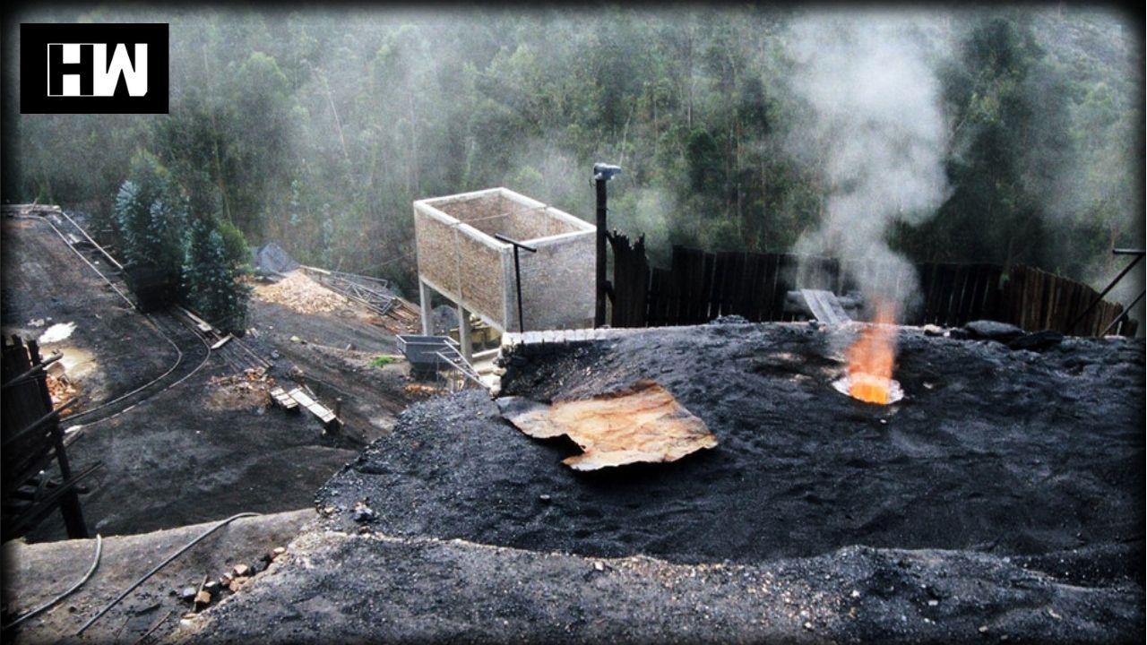 Reducing methane emissions vital for climate action, but not ‘get out ...