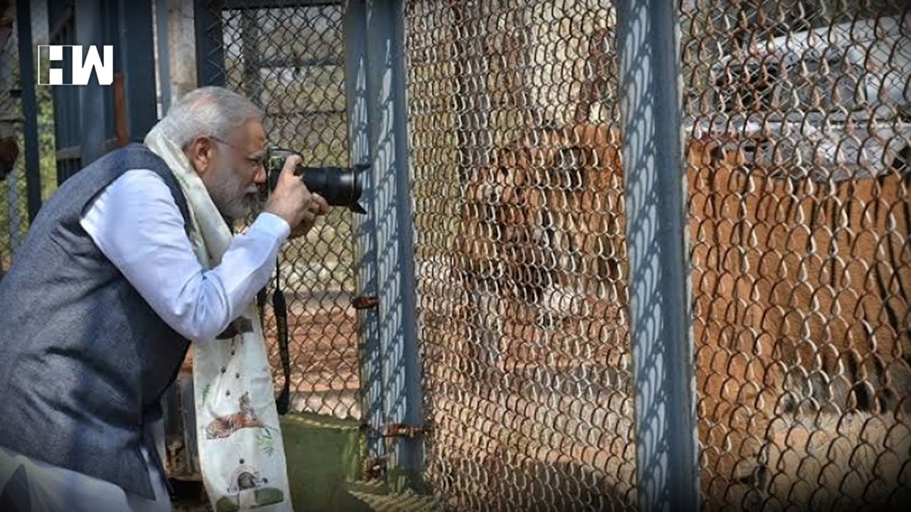 PM Modi Stages A Show, But Does He Really Care About Wildlife ...