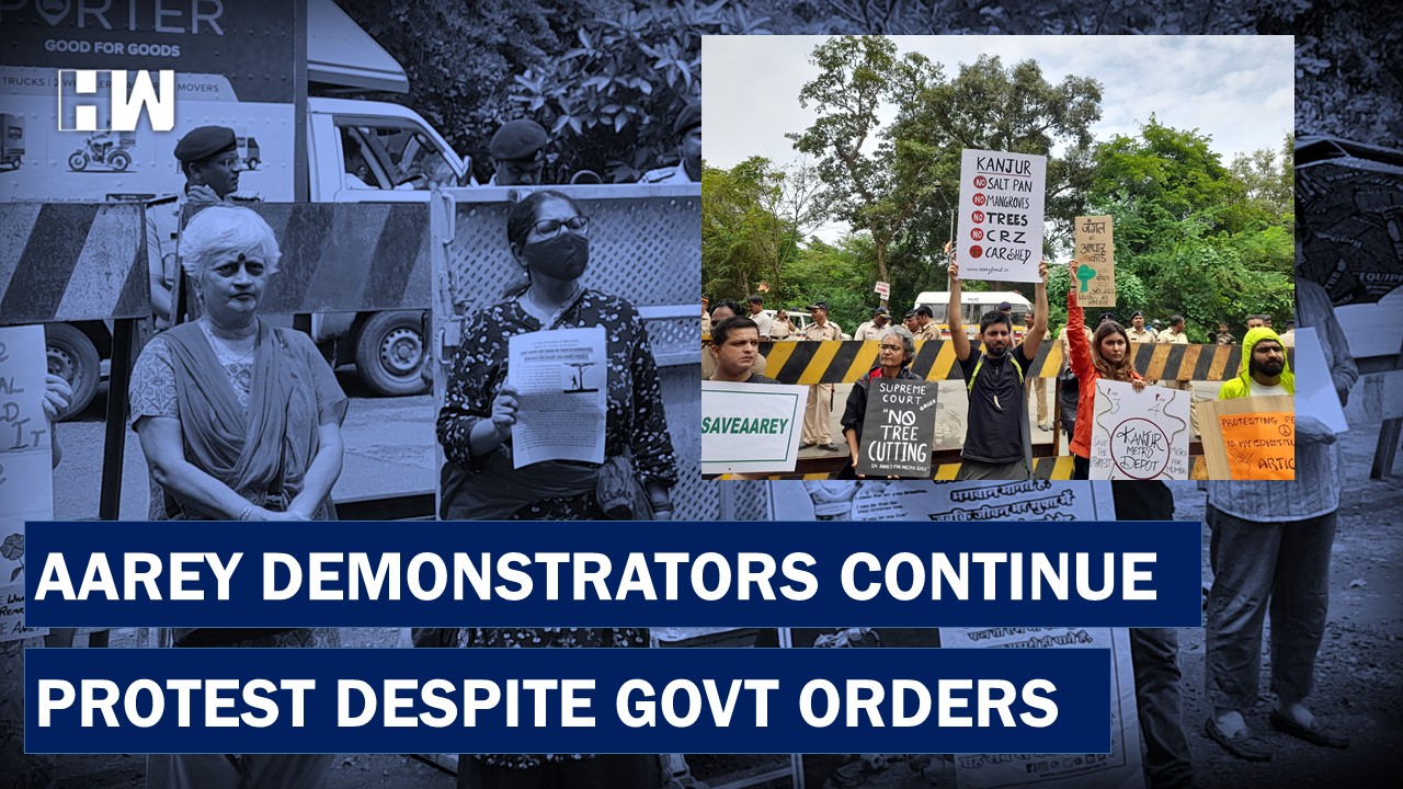 Enviornment Activits Gather In Aarey Colony To Protest Against Metro ...