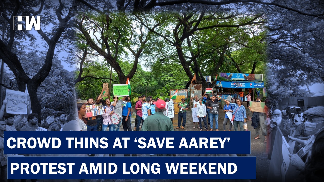 With Ongoing Long Weekend, Number Of Protestors In Aarey Shrinks - HW ...