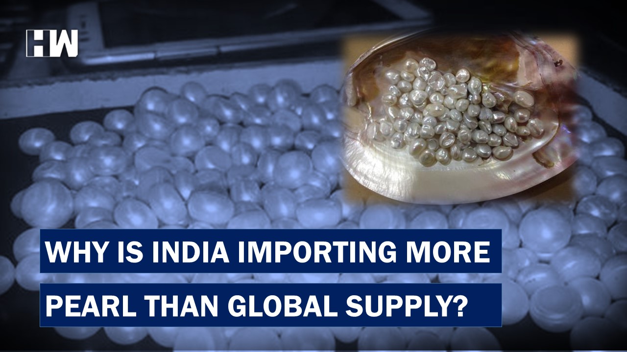 Why Is India Importing More Pearls Than World Is Producing? - HW News ...