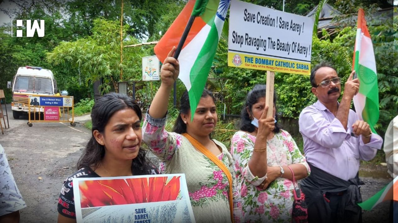Numbers Shrink At Save Aarey Protests - HW News English