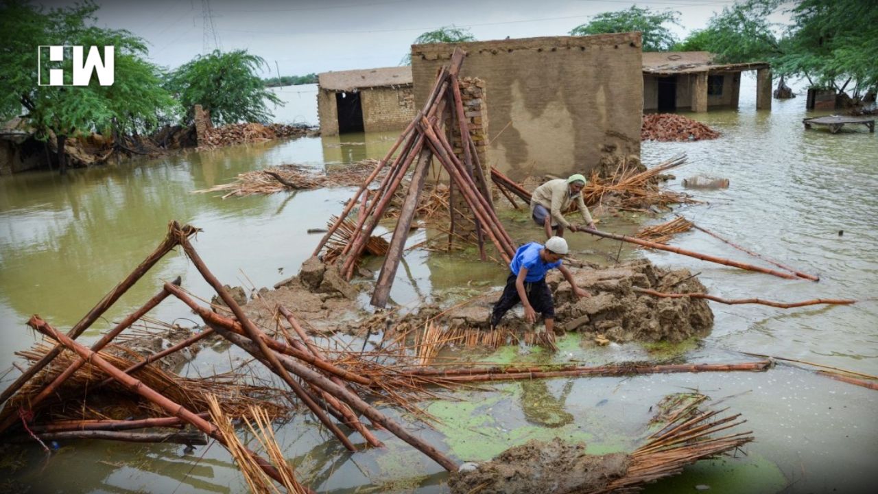 "Scale Of Damage & Destruction Due To Is Like None Seen Before": WHO On ...