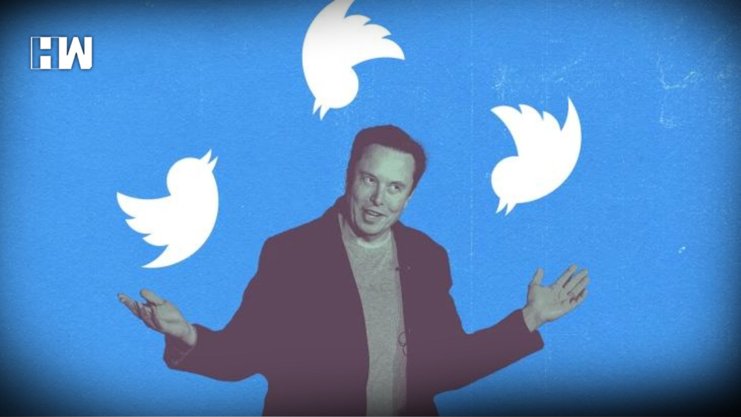 "Bird Is Freed, Will Reverse Life Bans": Elon Musk - HW News English