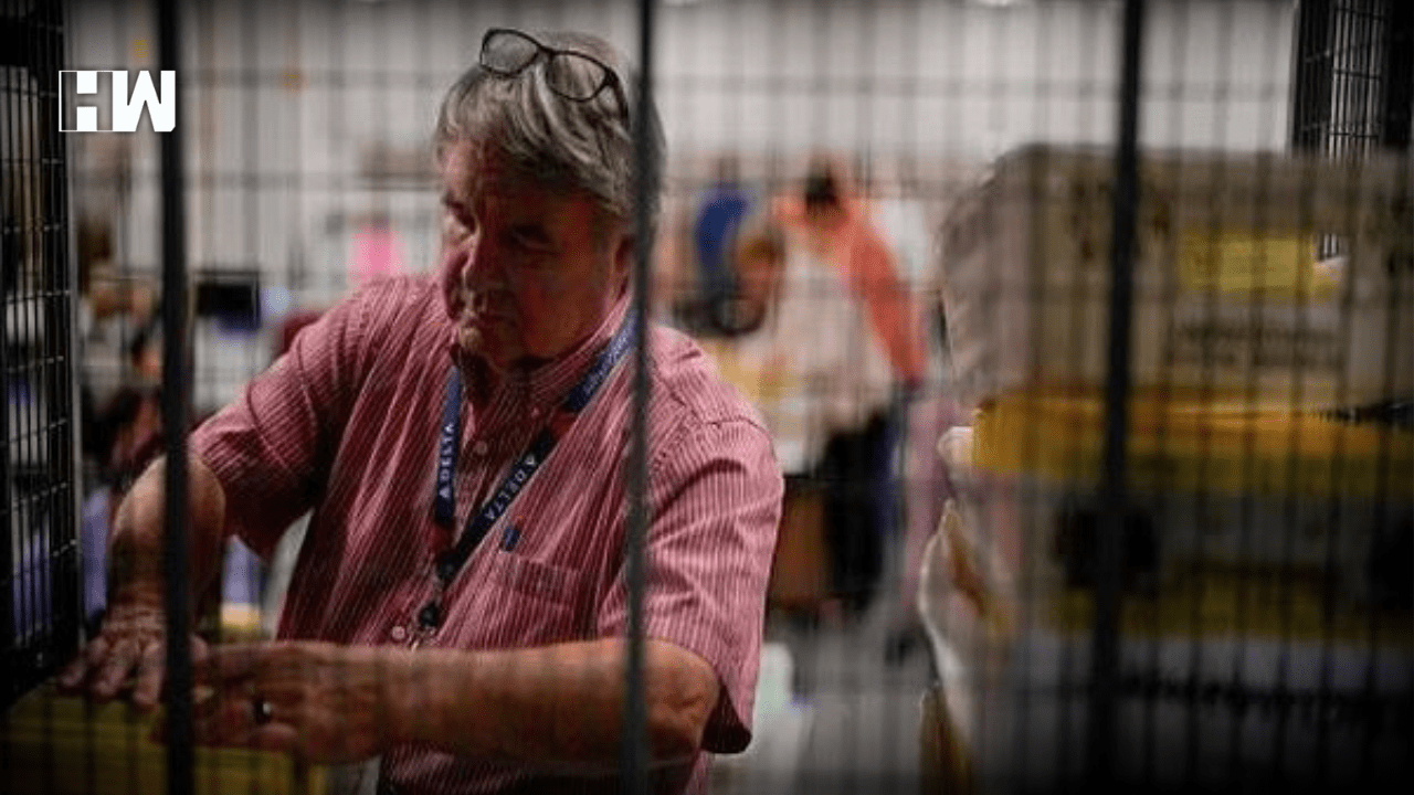 US midterm polls: Democrats to retain Senate, control of House remains undecided - HW News English