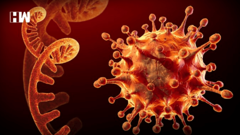 Russia: 48,500 Year Old Zombie Virus Revived By Scientists - HW News ...