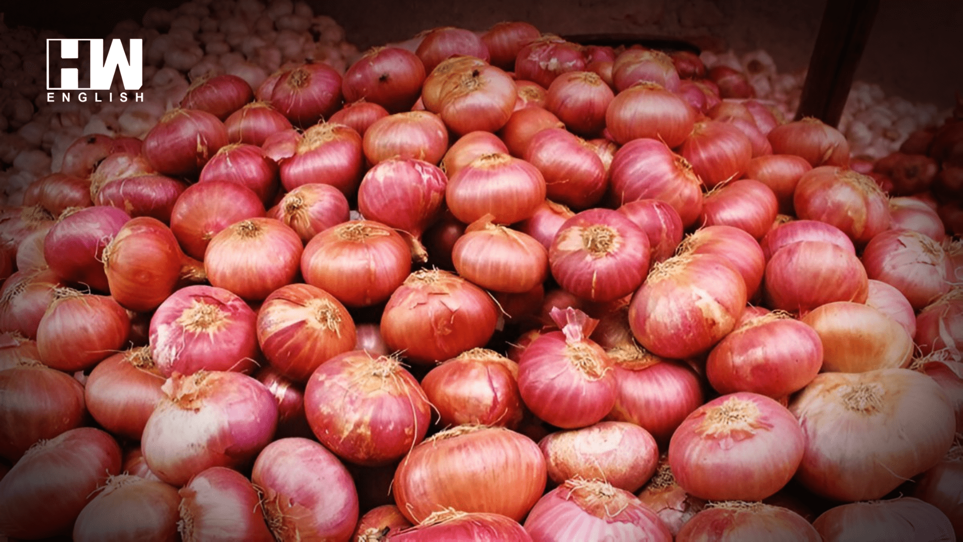India bans export of onions till March 2024 - HW News English