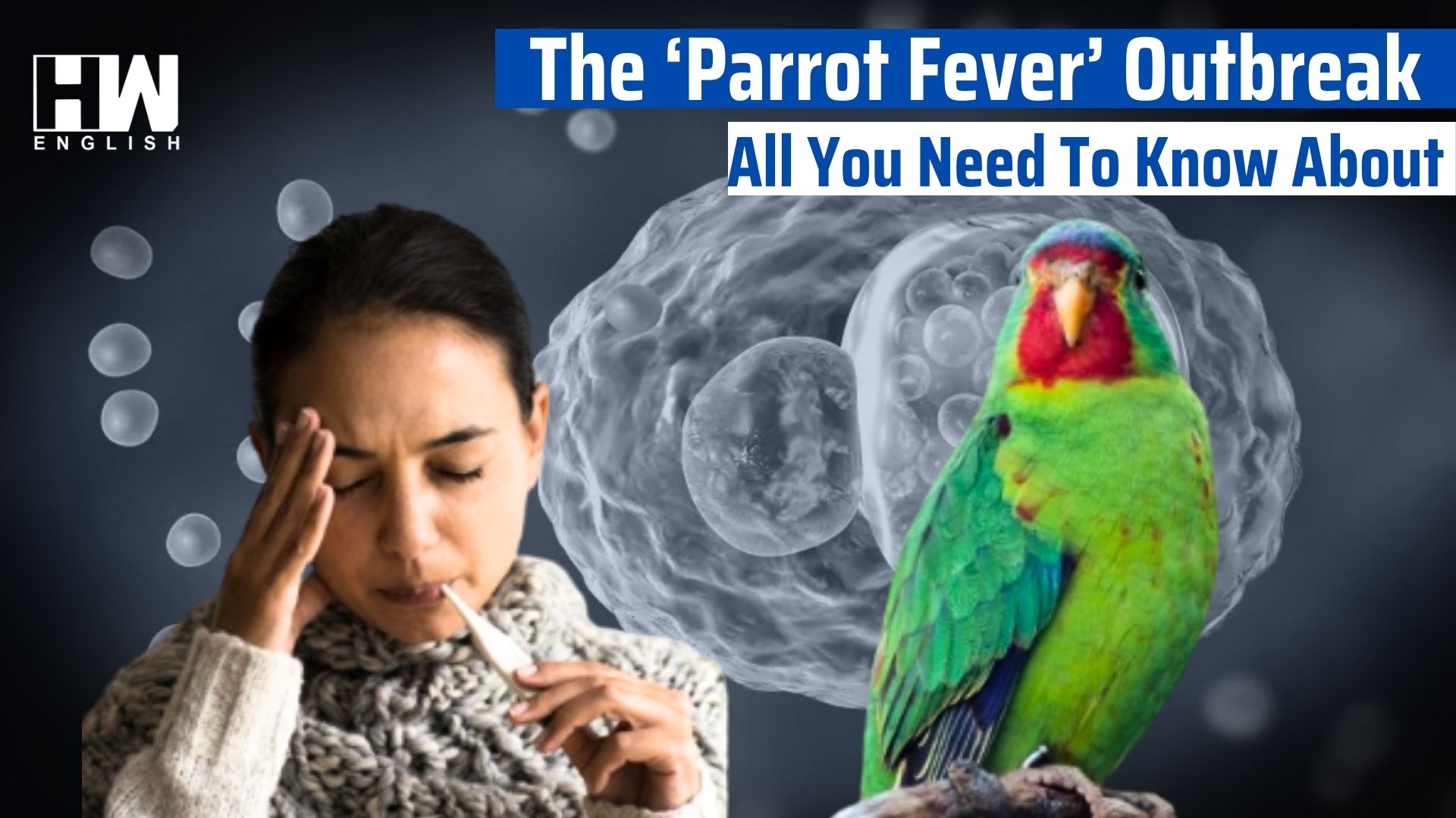 All You Need To Know About The 'Parrot Fever' Outbreak - HW News English