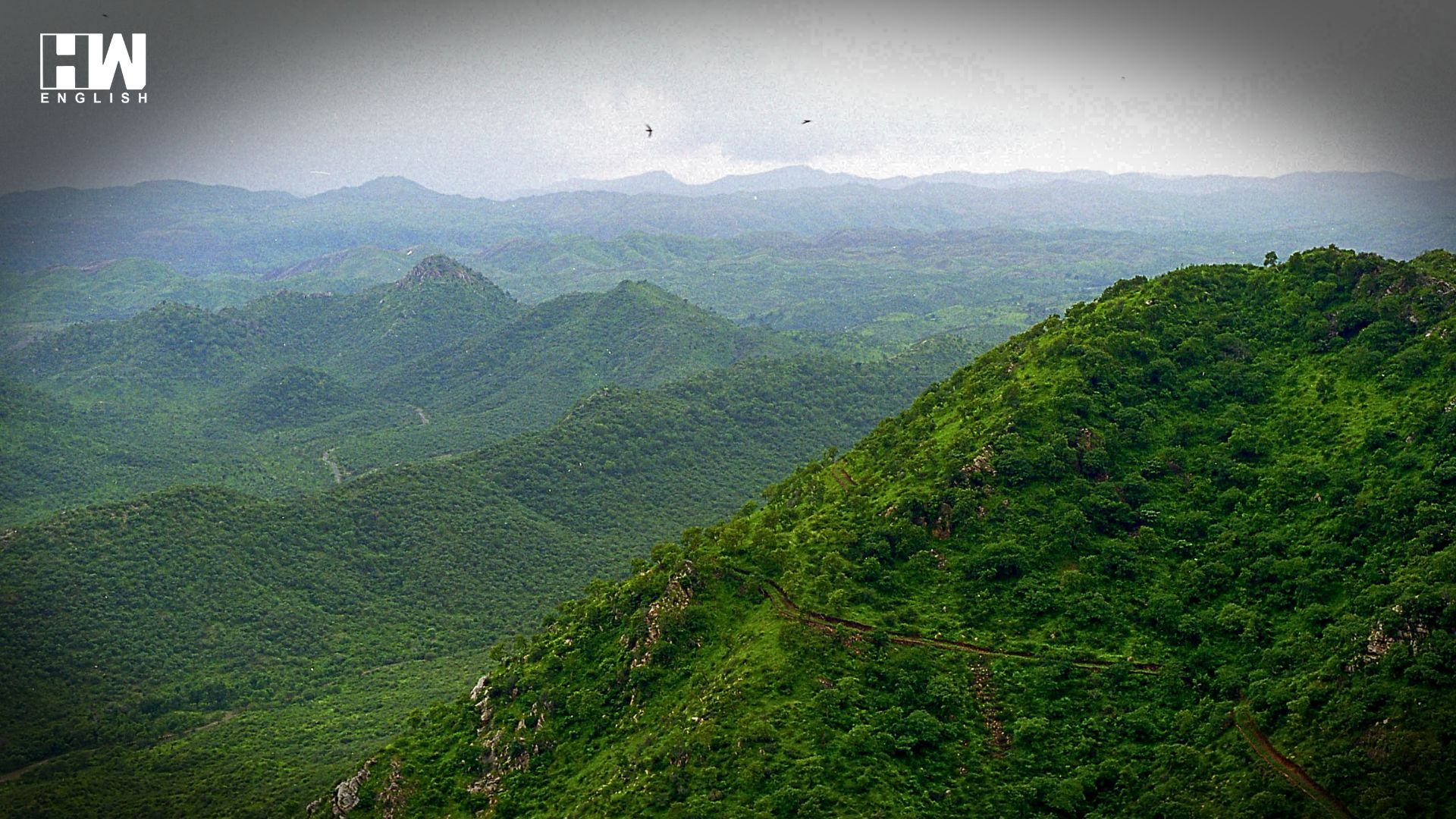 The Aravalli Hill Story: When Law Erased a Hill Range - HW News English